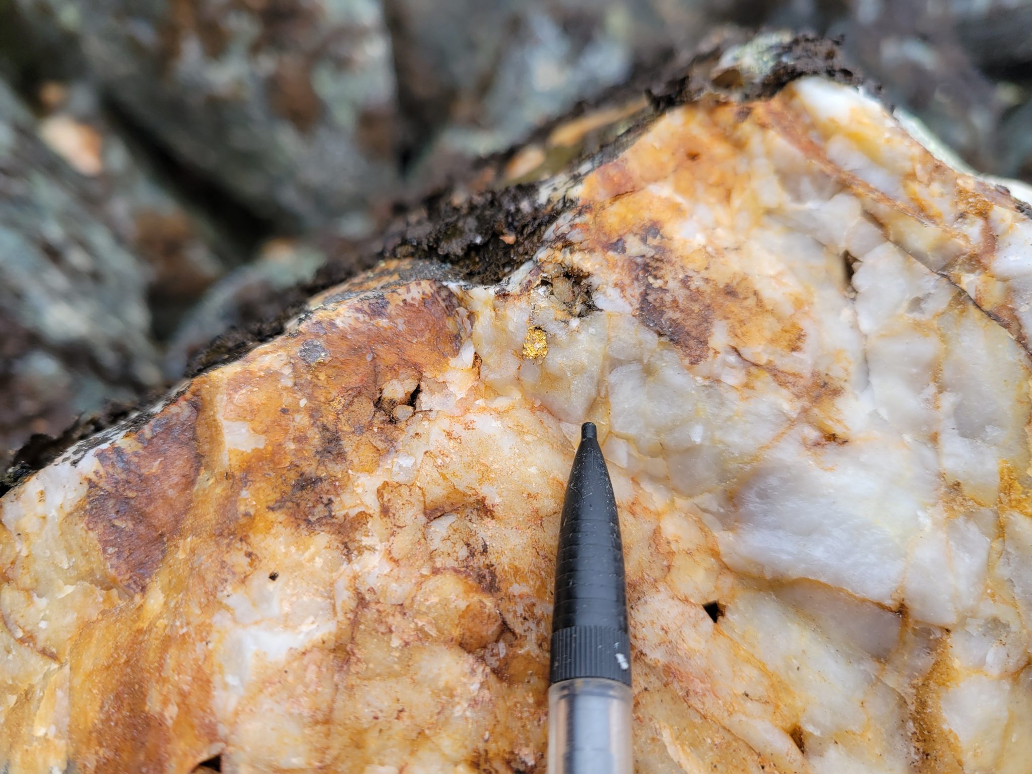 JV: Trailbreaker Resources is finding gold in Canada's last frontier ...