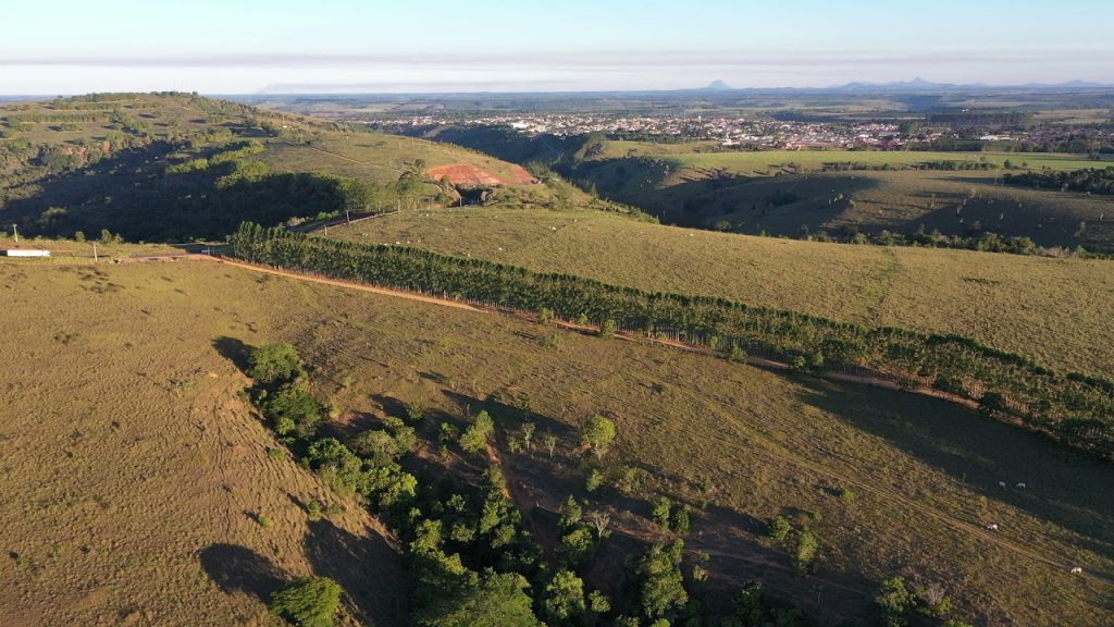 graphite Mining News - The Northern Miner