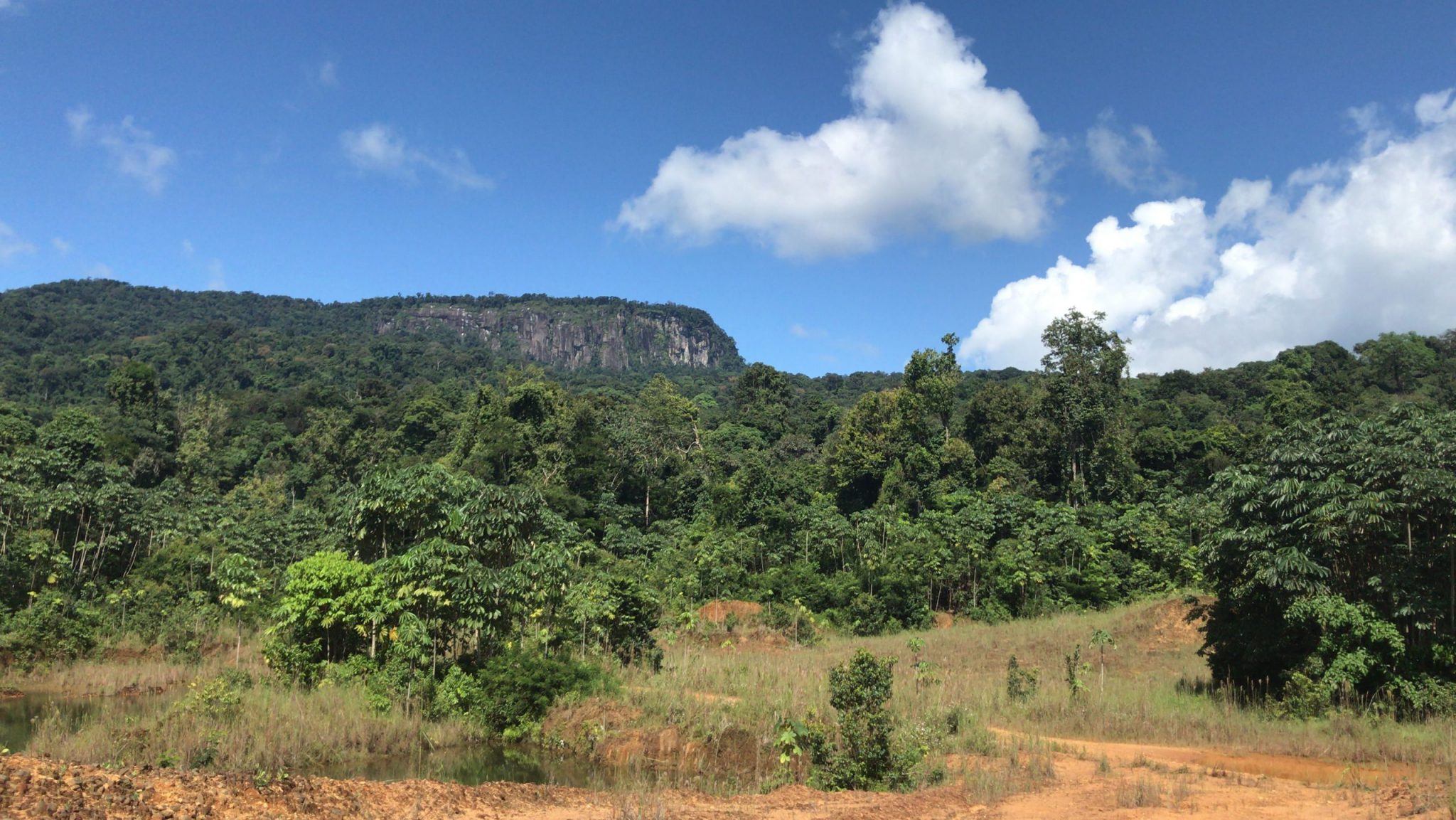 Mako Mining Mining News - The Northern Miner